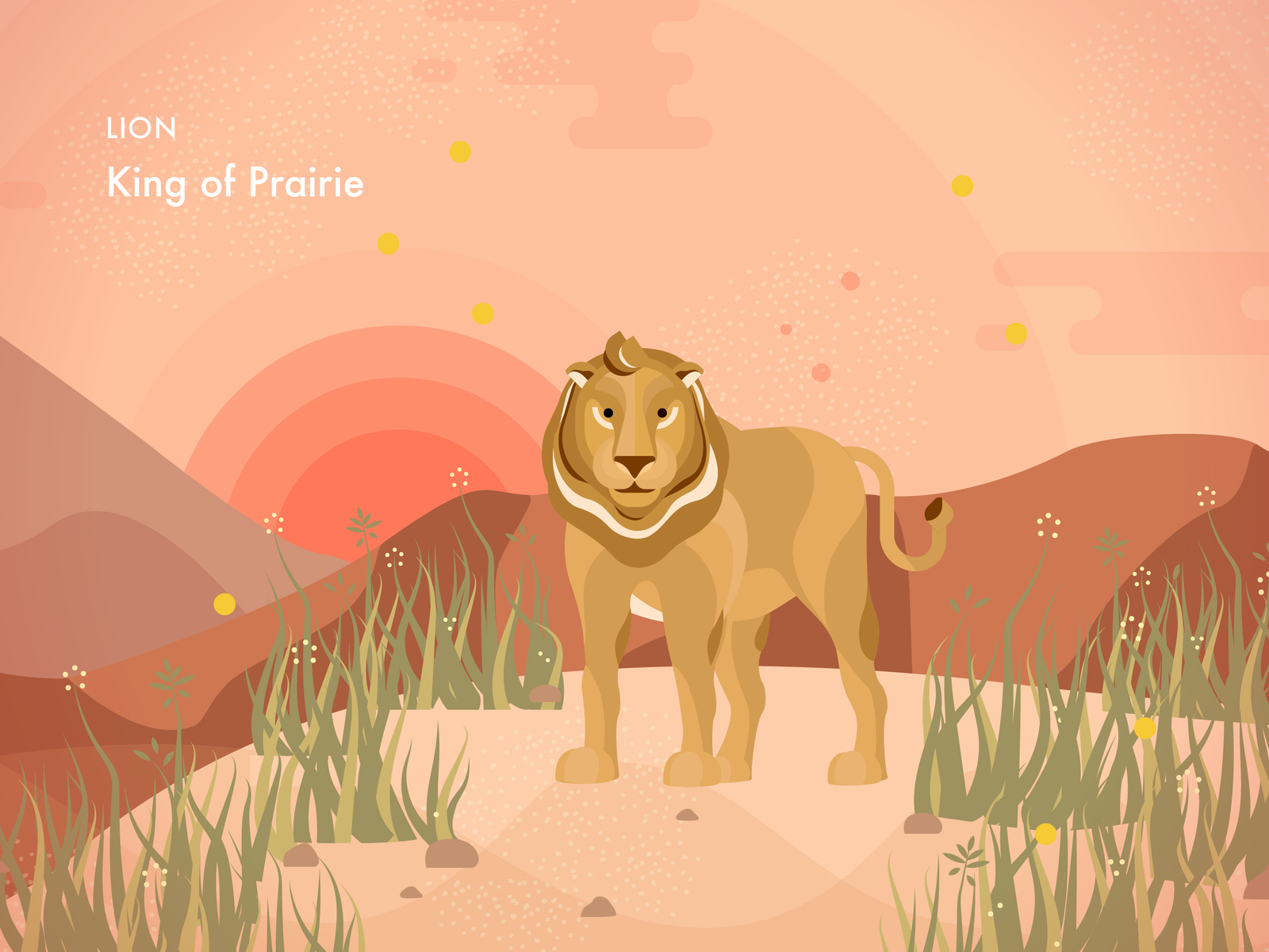 Lion - Cat Series by OlgaTsai on Dribbble