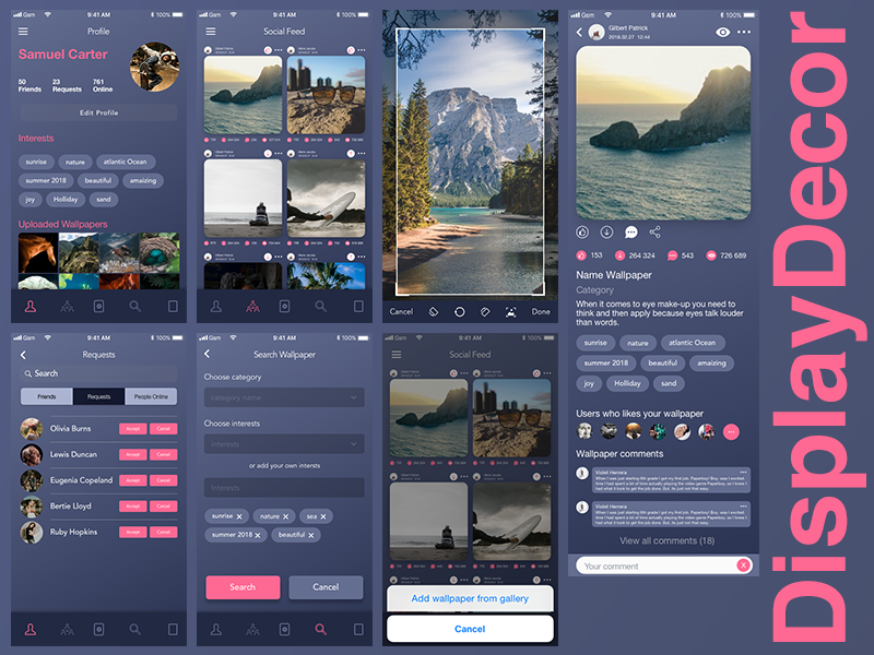 Displaydecor by Dumitru Birchin on Dribbble