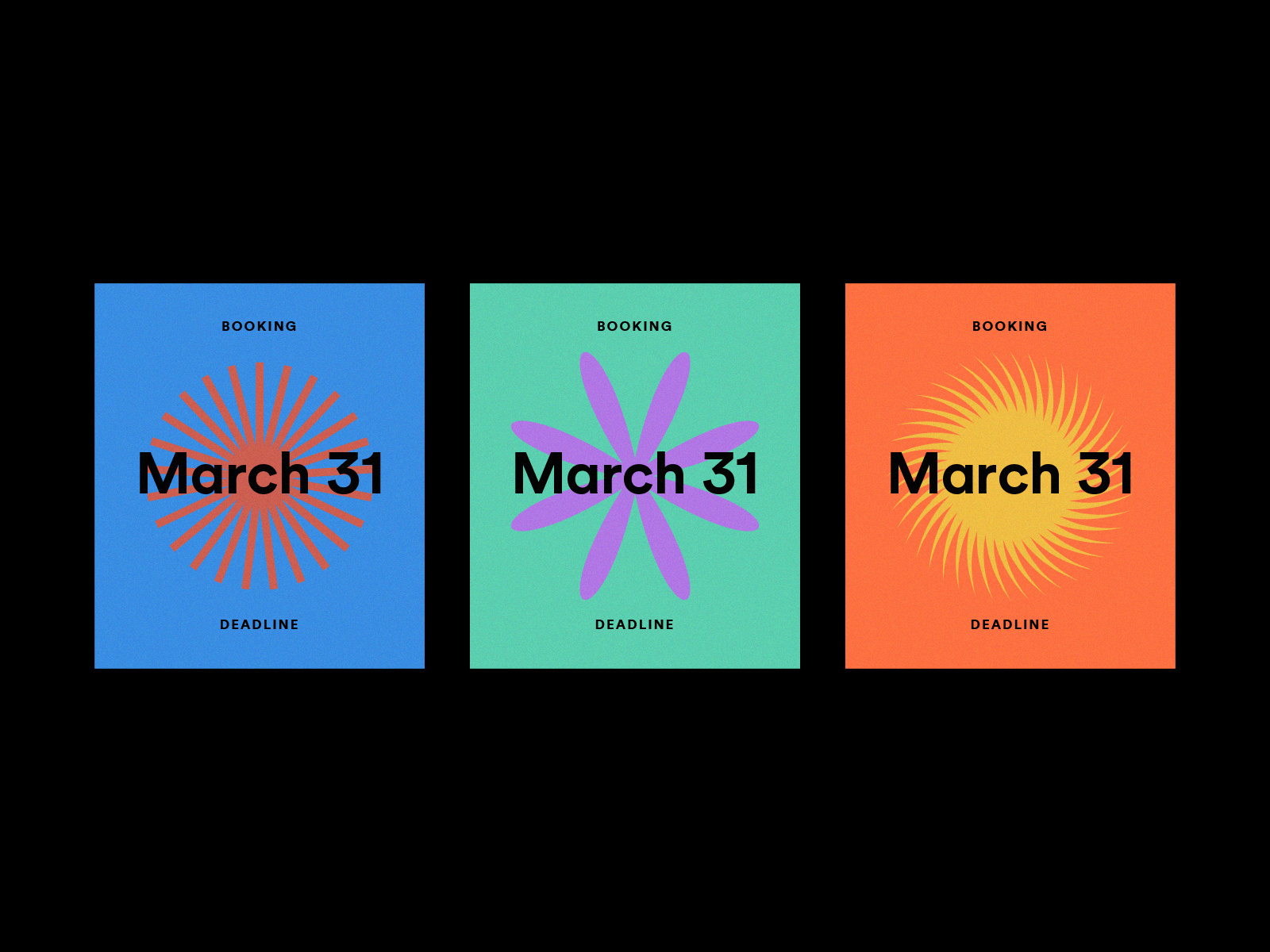 Summer Booking by Diana Mora on Dribbble