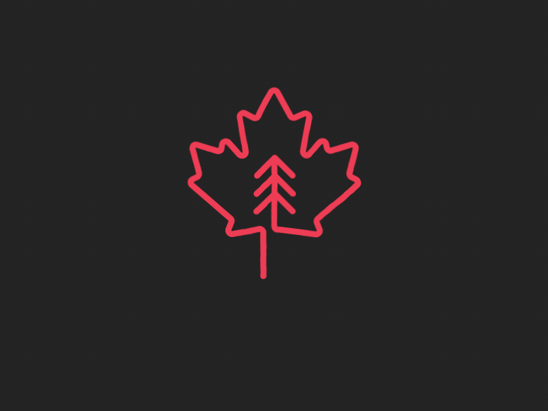 Quanada logo animation by holograma studio on Dribbble