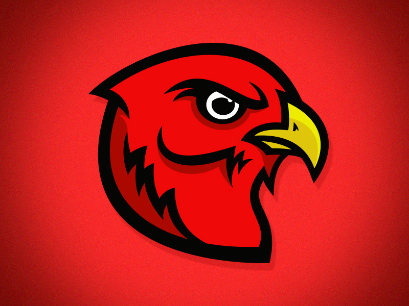 Red Hawk by Jared Coomes on Dribbble