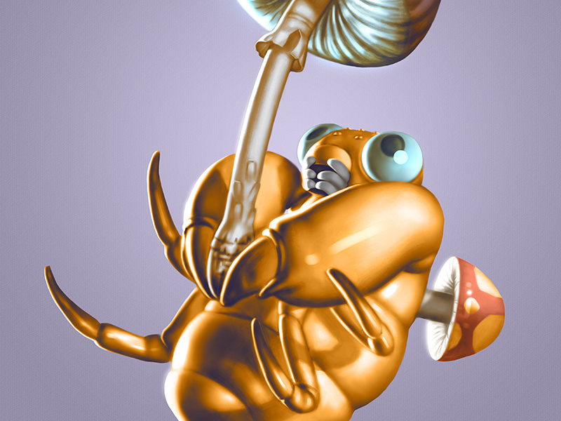 Paras by Candice Broersma on Dribbble