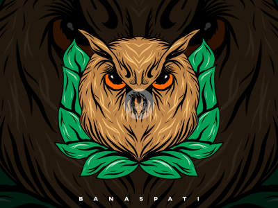 owl logo by Banaspati on Dribbble
