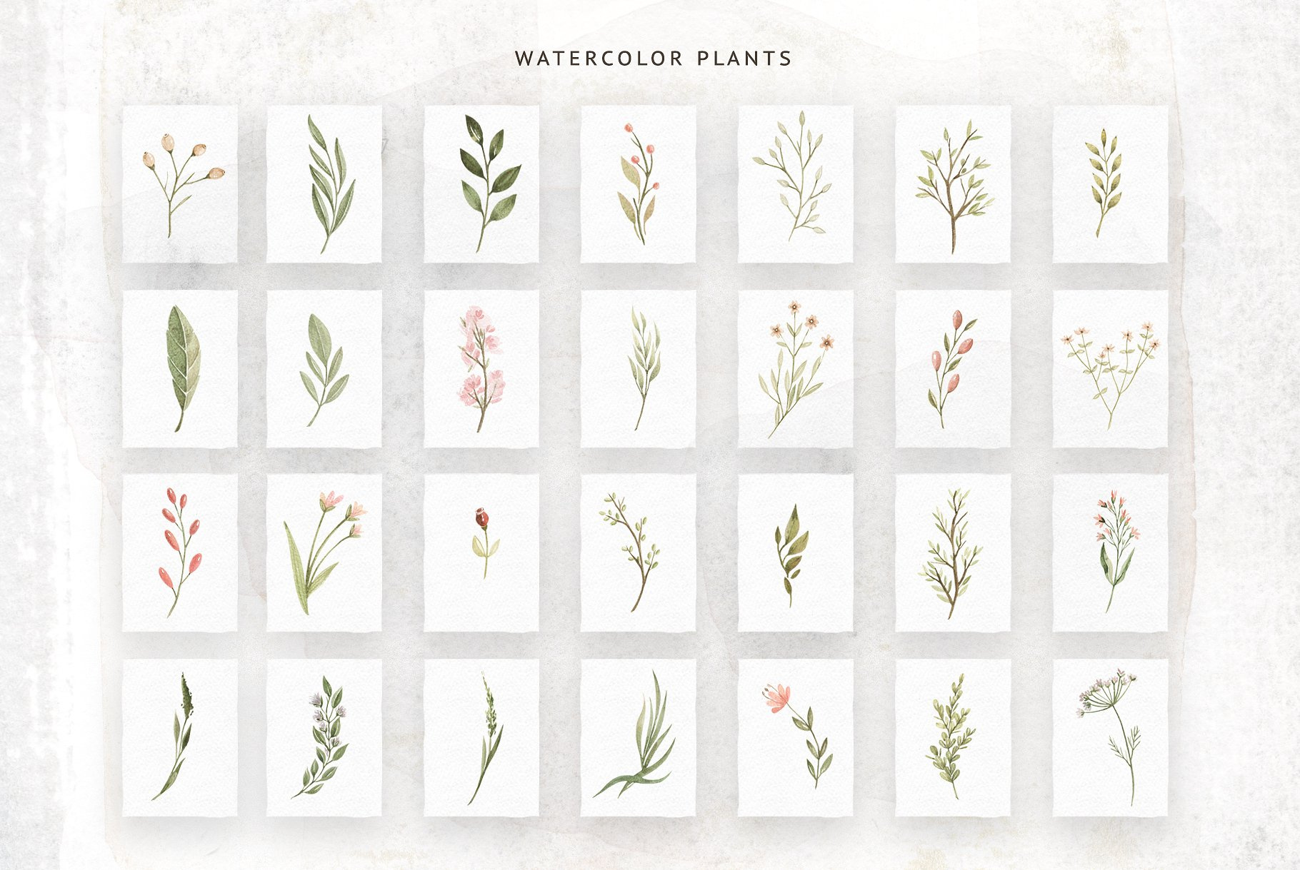 Dribbble - covers_1222-.jpg by Graphic Assets