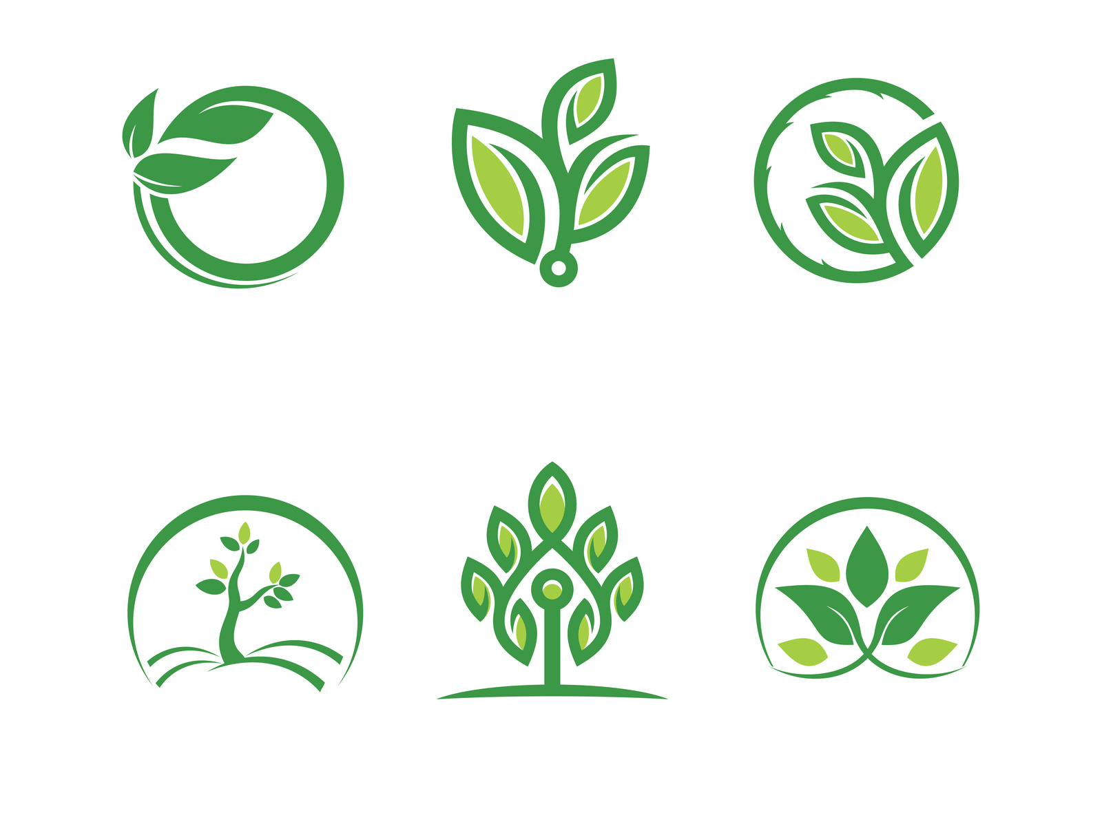 Fashion Logos With A Tree