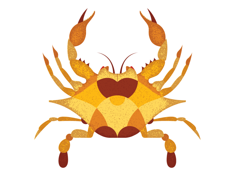 Geometric Crab by Jason Keisling on Dribbble