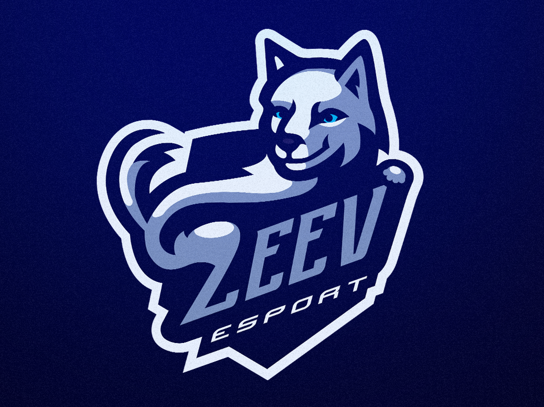 Zeev esport by CreaK Design on Dribbble