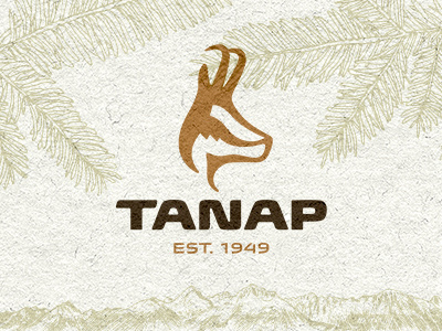 TANAP_visual identity by Milan Pleva on Dribbble