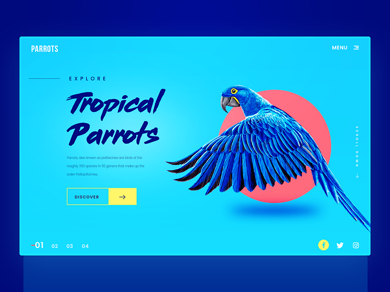 Parrots Website Header by Pham Huy on Dribbble