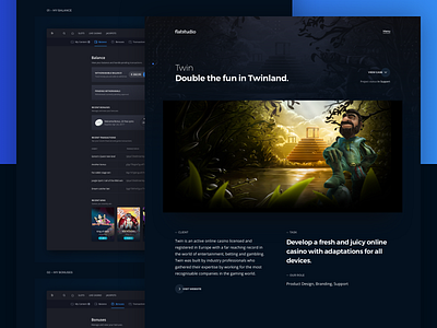 Case study: Twin by Bohdan Kononets for Flatstudio on Dribbble