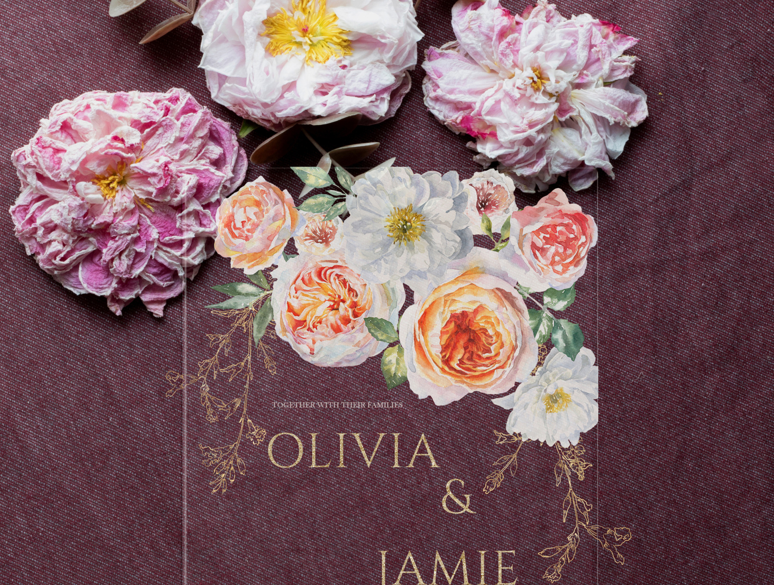 Botanical Watercolor Floral set by Catherine on Dribbble