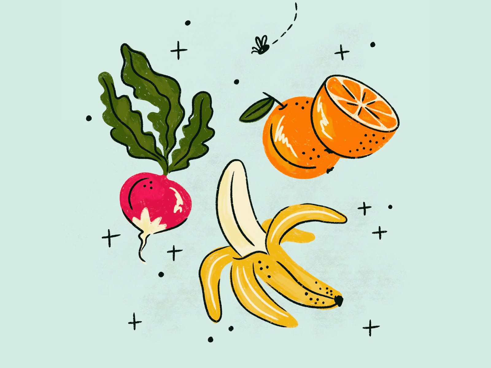 Fruits (and veggie) by Aryn Landes on Dribbble