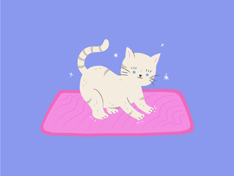 A cat on a rug by Victoria Valdez on Dribbble