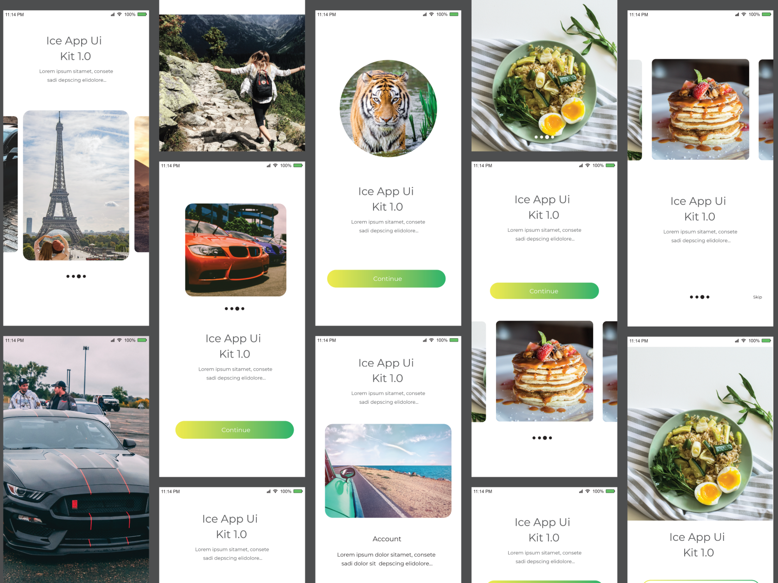 Ice app UI Kit by Kishwinder Singh on Dribbble