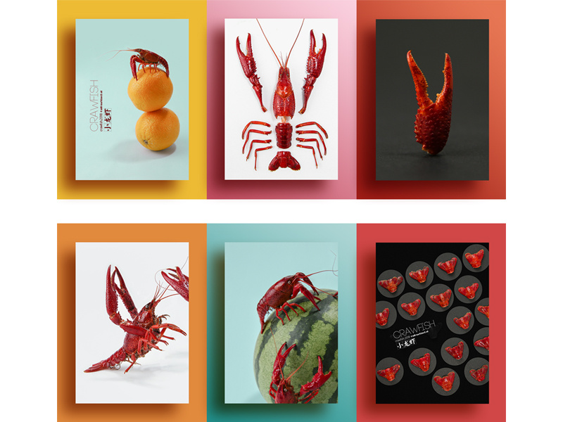 crayfish by cuihuaxiaopai on Dribbble