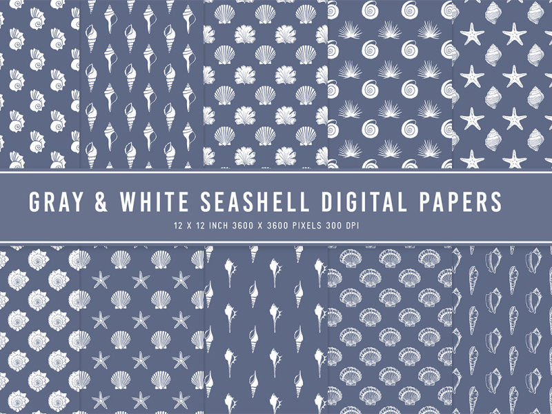 Gray & White Seashell Digital Papers by Mohammad Usama on Dribbble