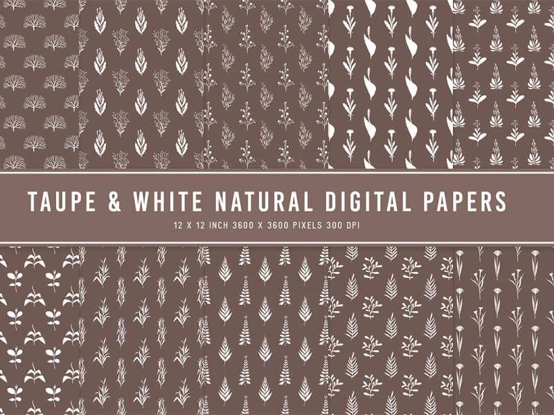 Taupe & White Natural Digital Papers by Mohammad Usama on Dribbble