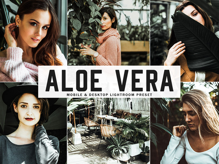 Colour Preset Designs Themes Templates And Downloadable Graphic Elements On Dribbble 