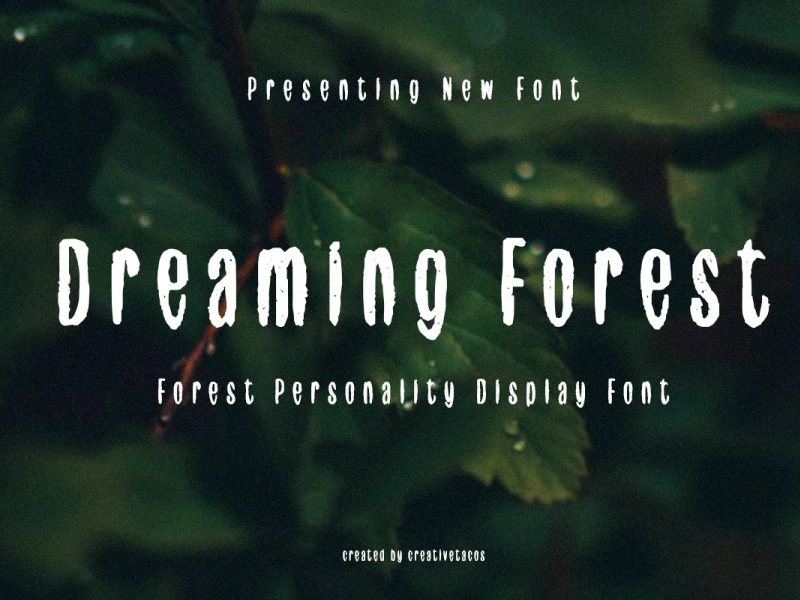 Dreaming Forest Display Font by Farhan Ahmad on Dribbble