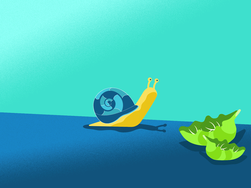 Snail by Nico Medina on Dribbble