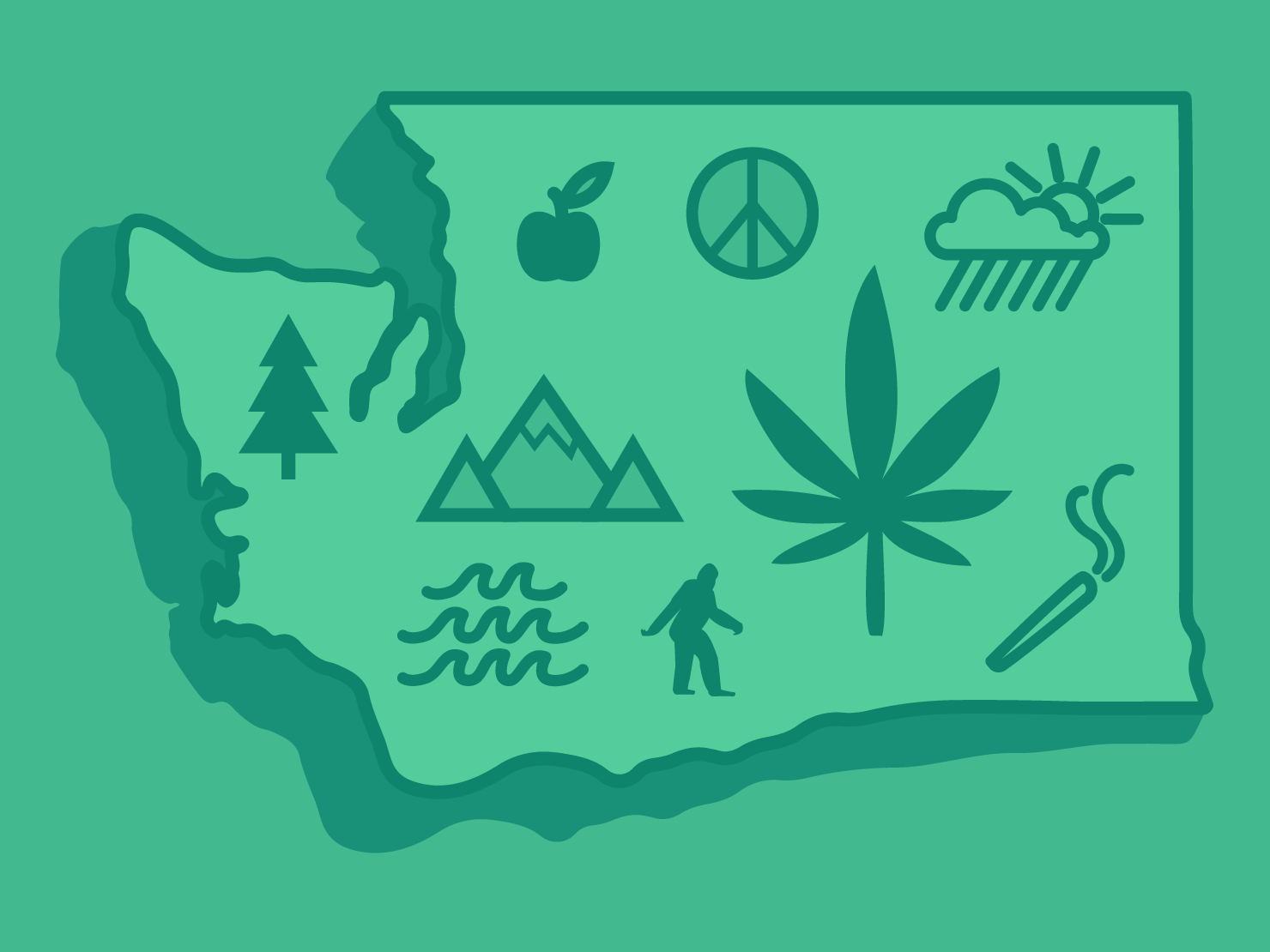 Washington State by Sari Jack on Dribbble