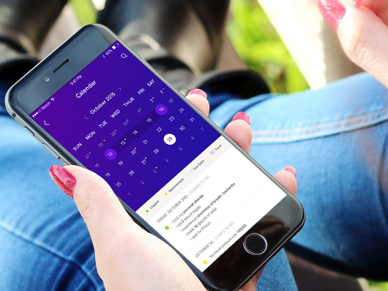 Daily Calendar Tracker by AmberBockel on Dribbble