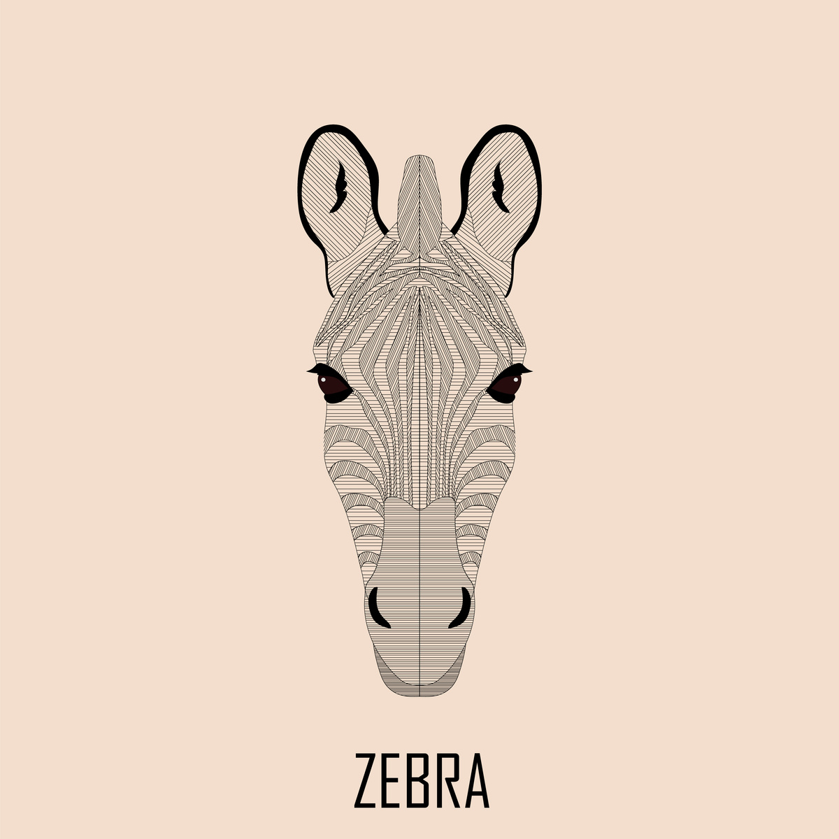 Art Lines Zebra by Burhan Sivrikaya on Dribbble