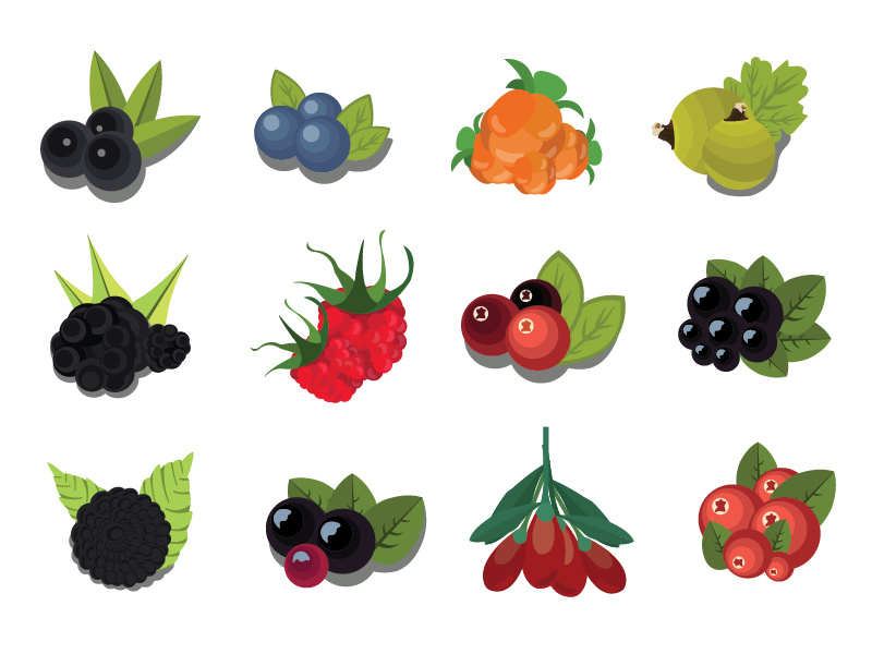 Berry collectoion by Bluepentool Design & Sell T-shirts on Dribbble