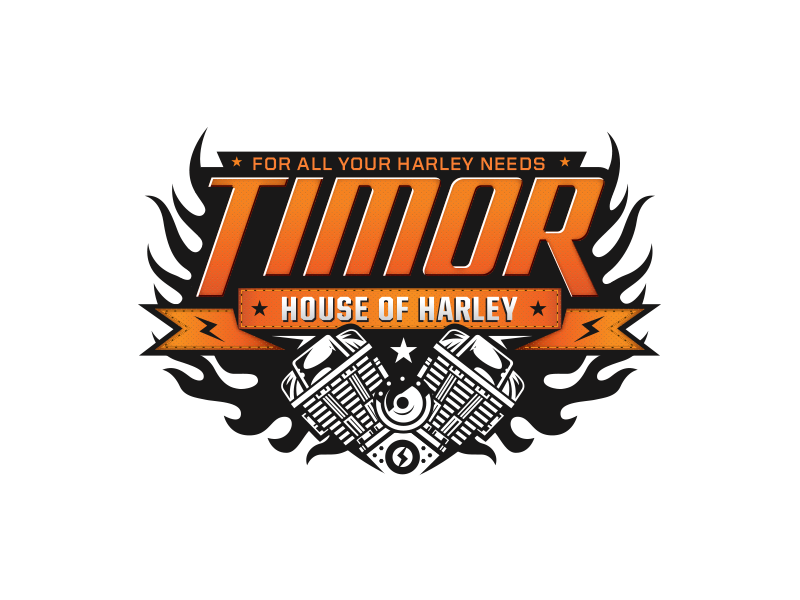 Timor by Shai Harris on Dribbble