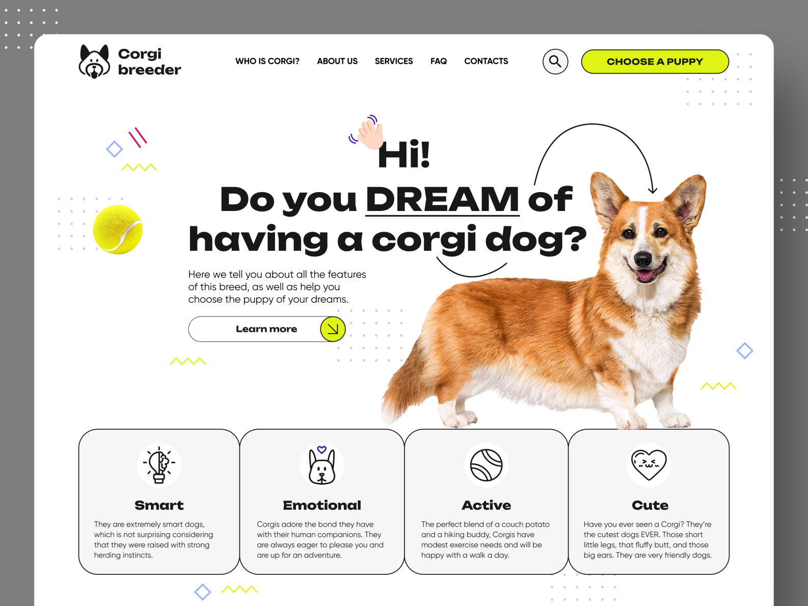 Corgi breeder Concept by Anastasia Makeenkova on Dribbble
