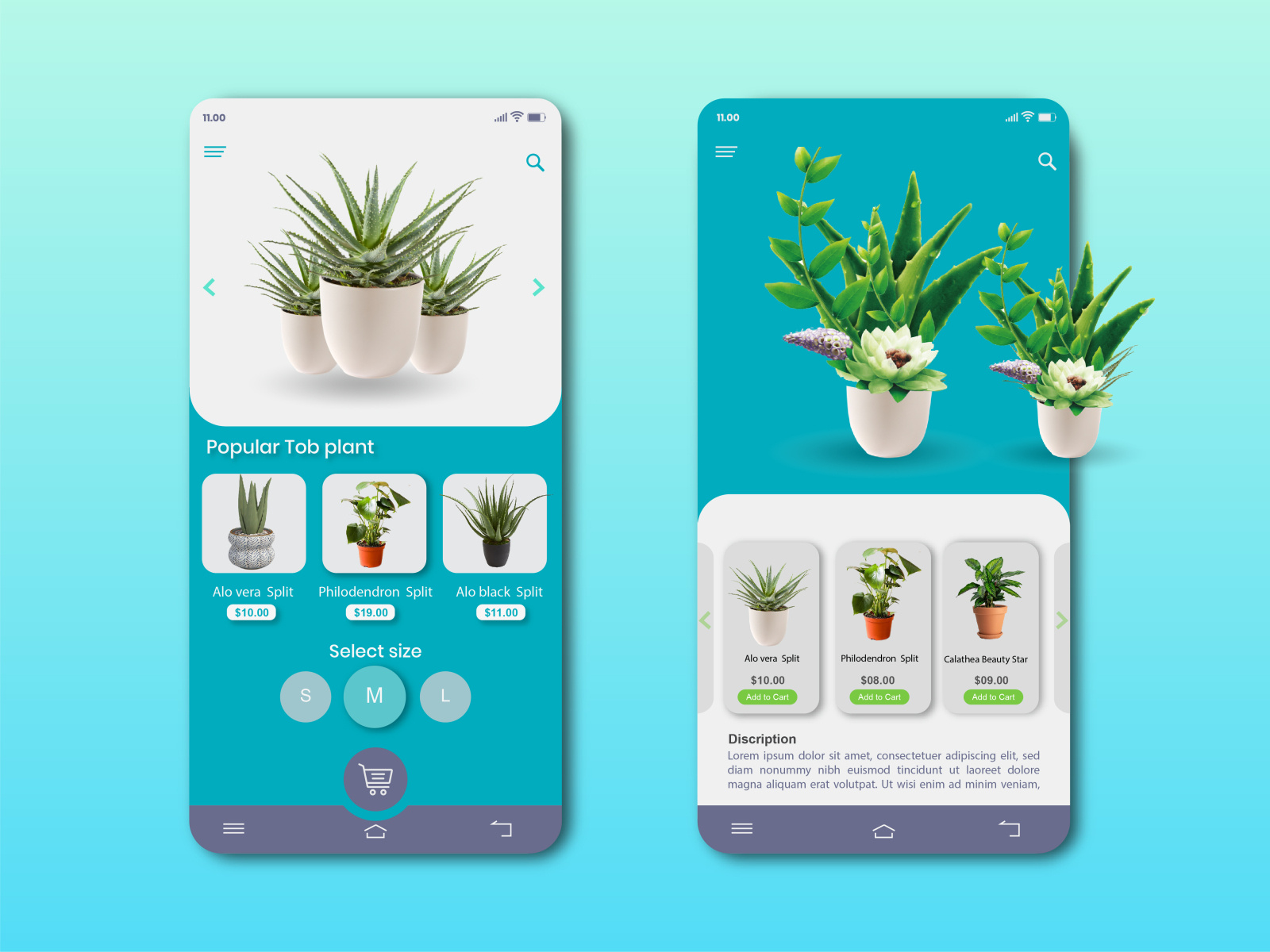 Aloe Vera split apps design by Grapixus on Dribbble