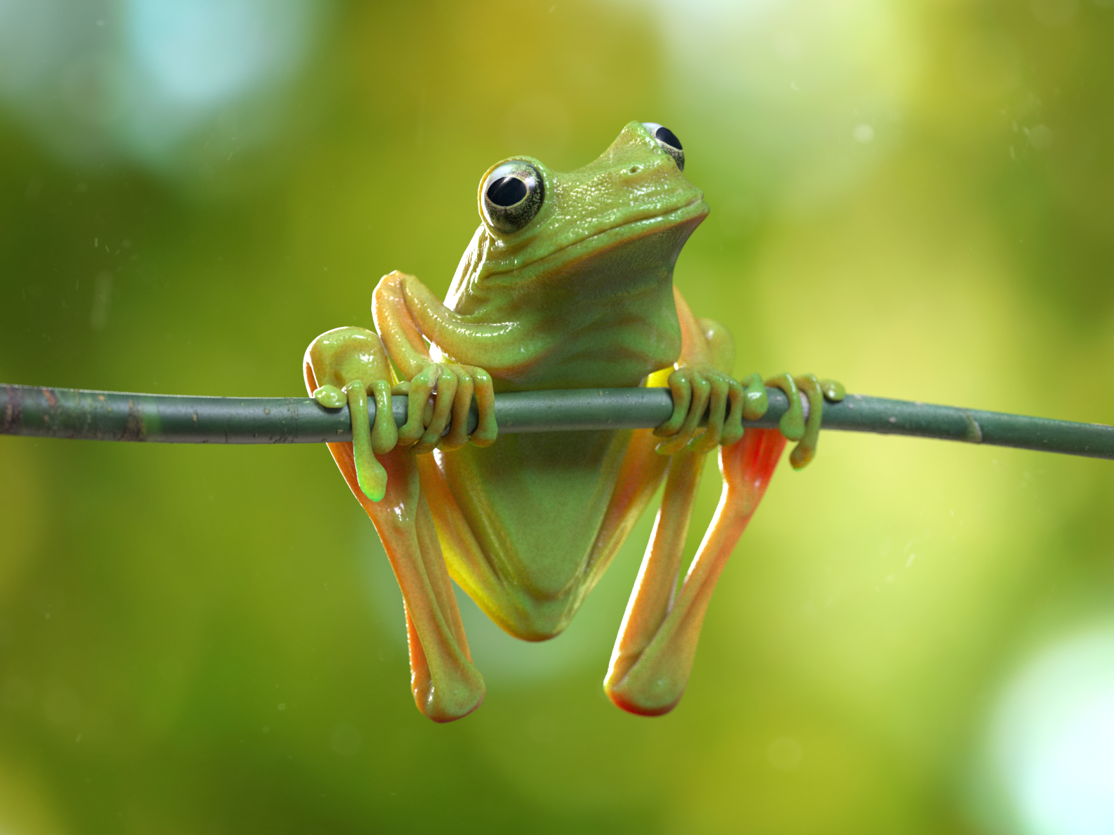 Frog Rendering by Konstantin Datz on Dribbble