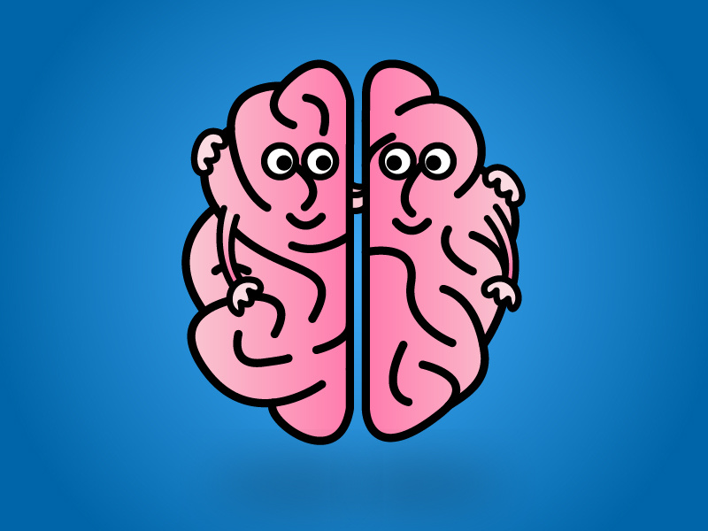 Brain by Jakub Jezovic on Dribbble