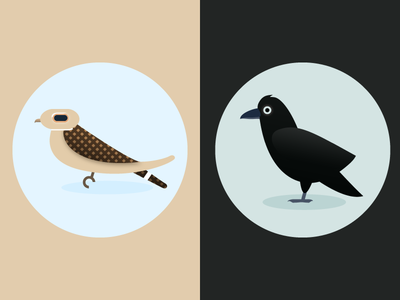 Nighthawk designs, themes, templates and downloadable graphic elements ...