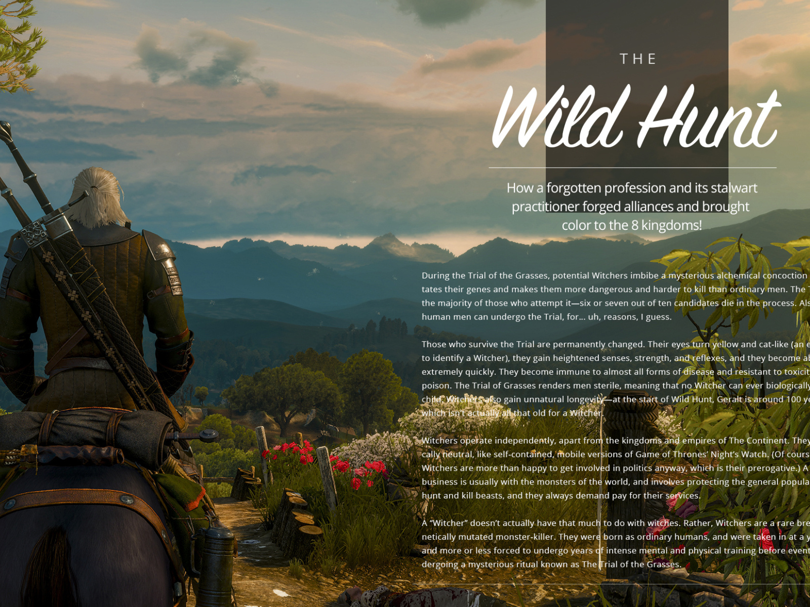Witcher 3 Magazine Article by Abhijit Dara on Dribbble