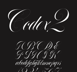 Detail of cover concept for issue #2 of Codex magazine. by John ...