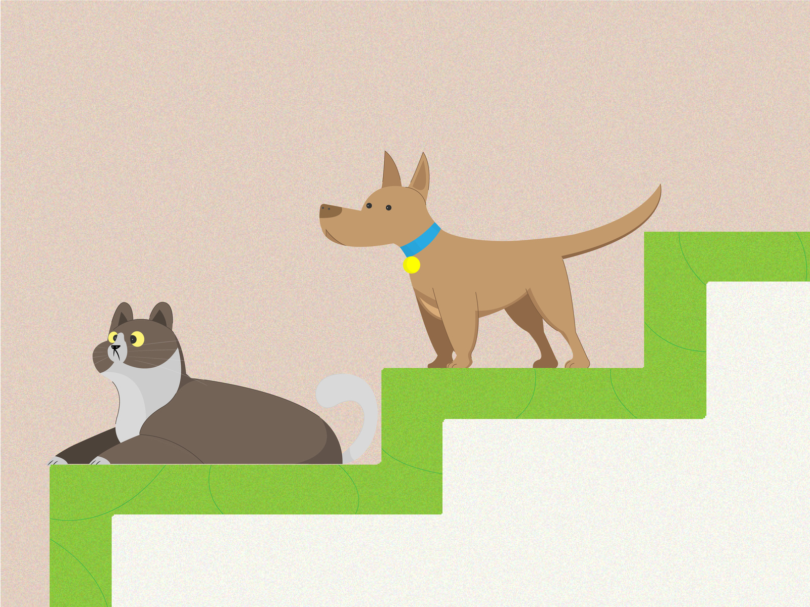 Cat And Dog Dribbble by Bowale Omode on Dribbble