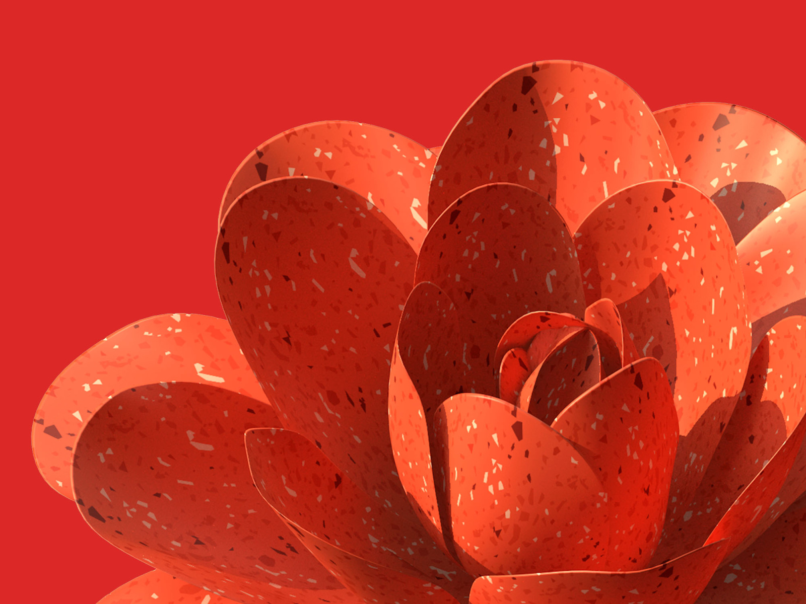 Bloom by Tanya Kar on Dribbble