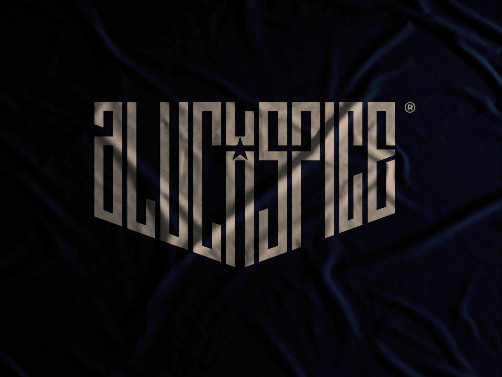 BLVCK SPICE Logotype by Filip Panov on Dribbble