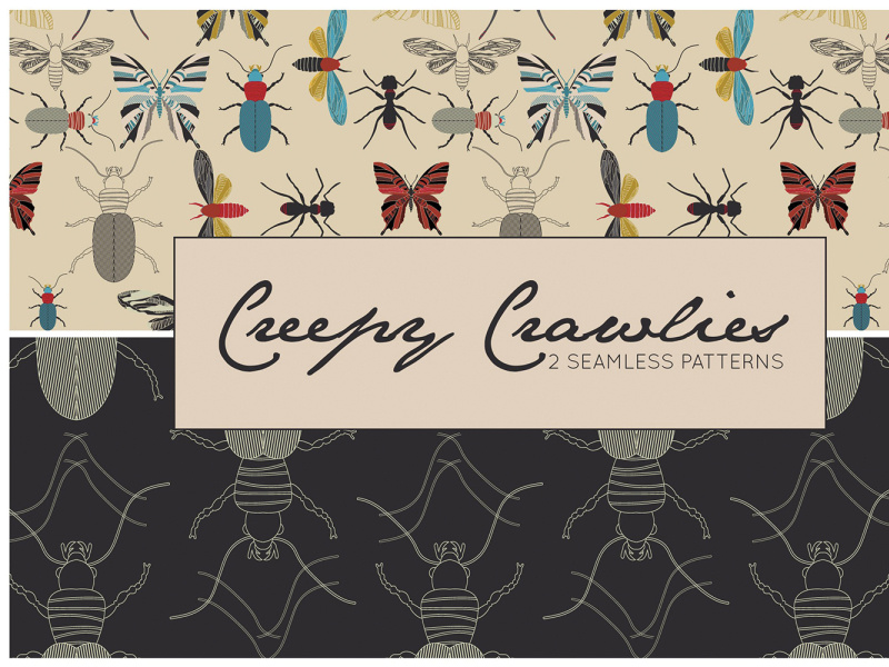 Bugs and Beetles Digital Patterns by Sarah Evans on Dribbble