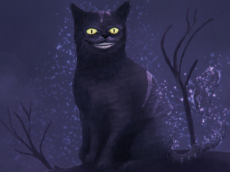 Chesire Cat by Tomasz Ostrowski on Dribbble