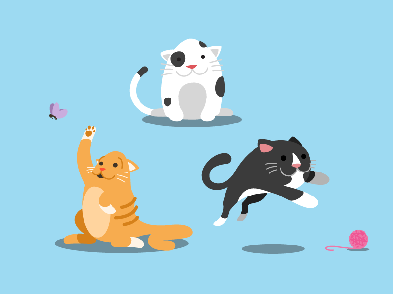Cats! by Chris Fernandez on Dribbble