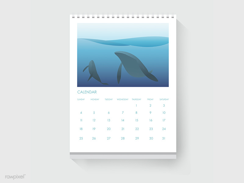 Simple calendar by rawpixelgift for rawpixel on Dribbble