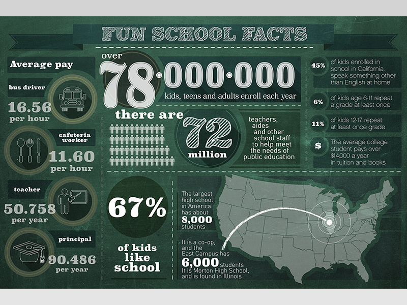 School Facts by Konrad Grabowski on Dribbble