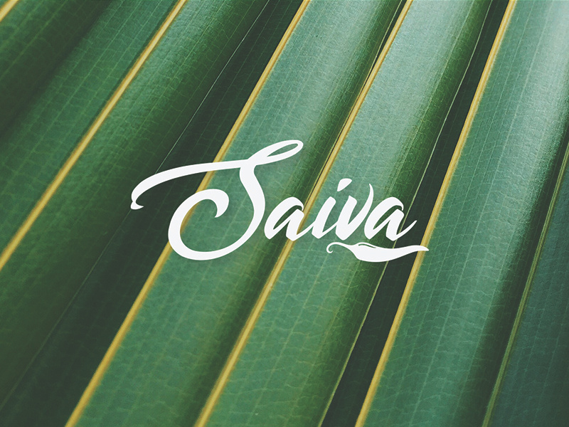 Branding | Saiva | Logo | Identity by ZENNOZ on Dribbble