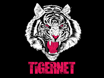 Tigernet by Petra Brnardic on Dribbble