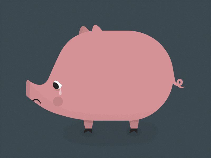 Sad Piggy
