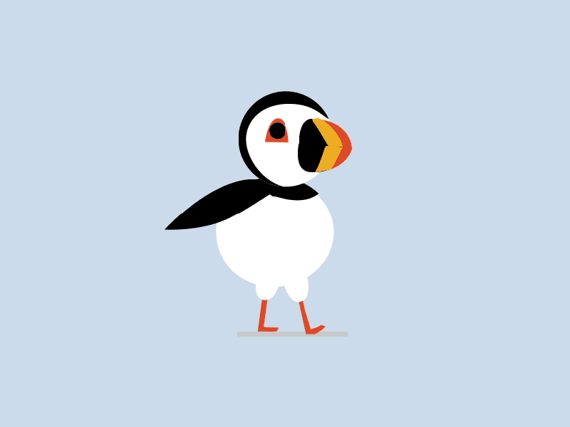 Puffin walks by kassandra zuanich on Dribbble