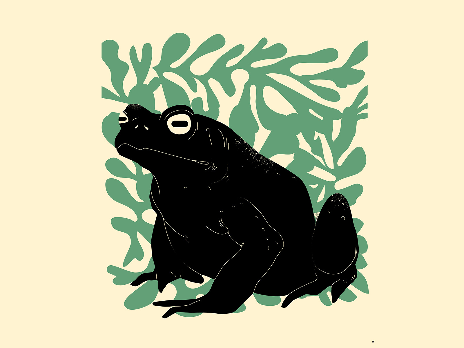 Frog by Rokas Aleliunas on Dribbble