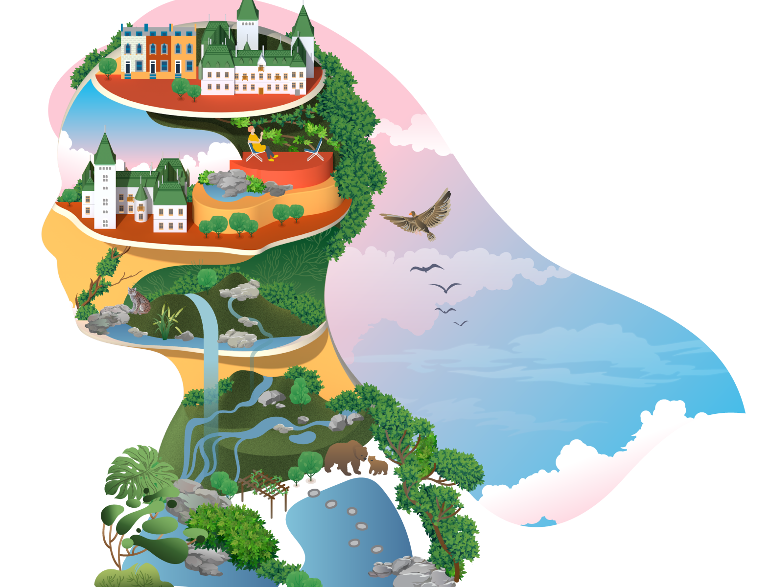 The conservation work by Jing Zhang on Dribbble